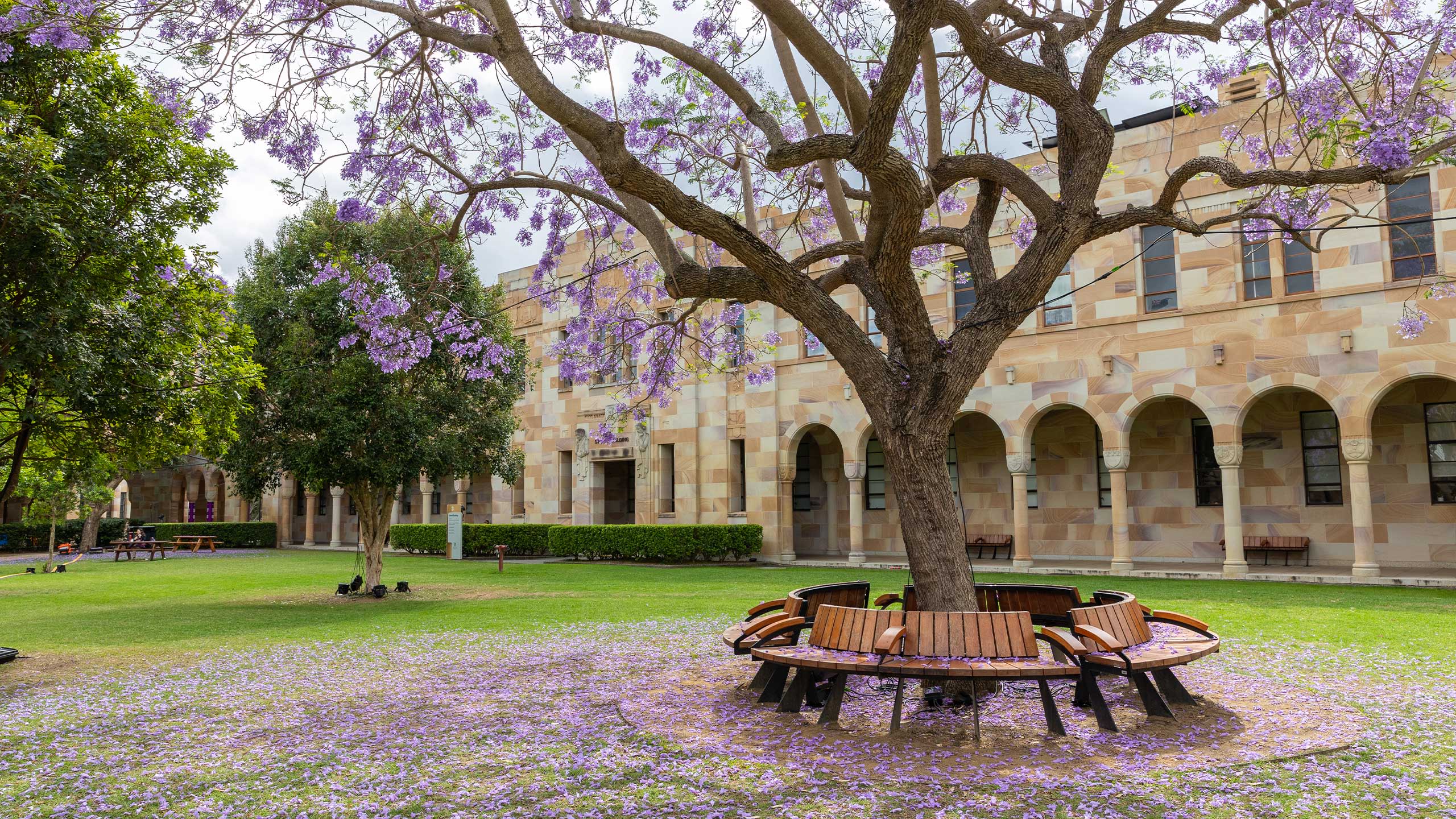Stroll down memory lane in the purple rain